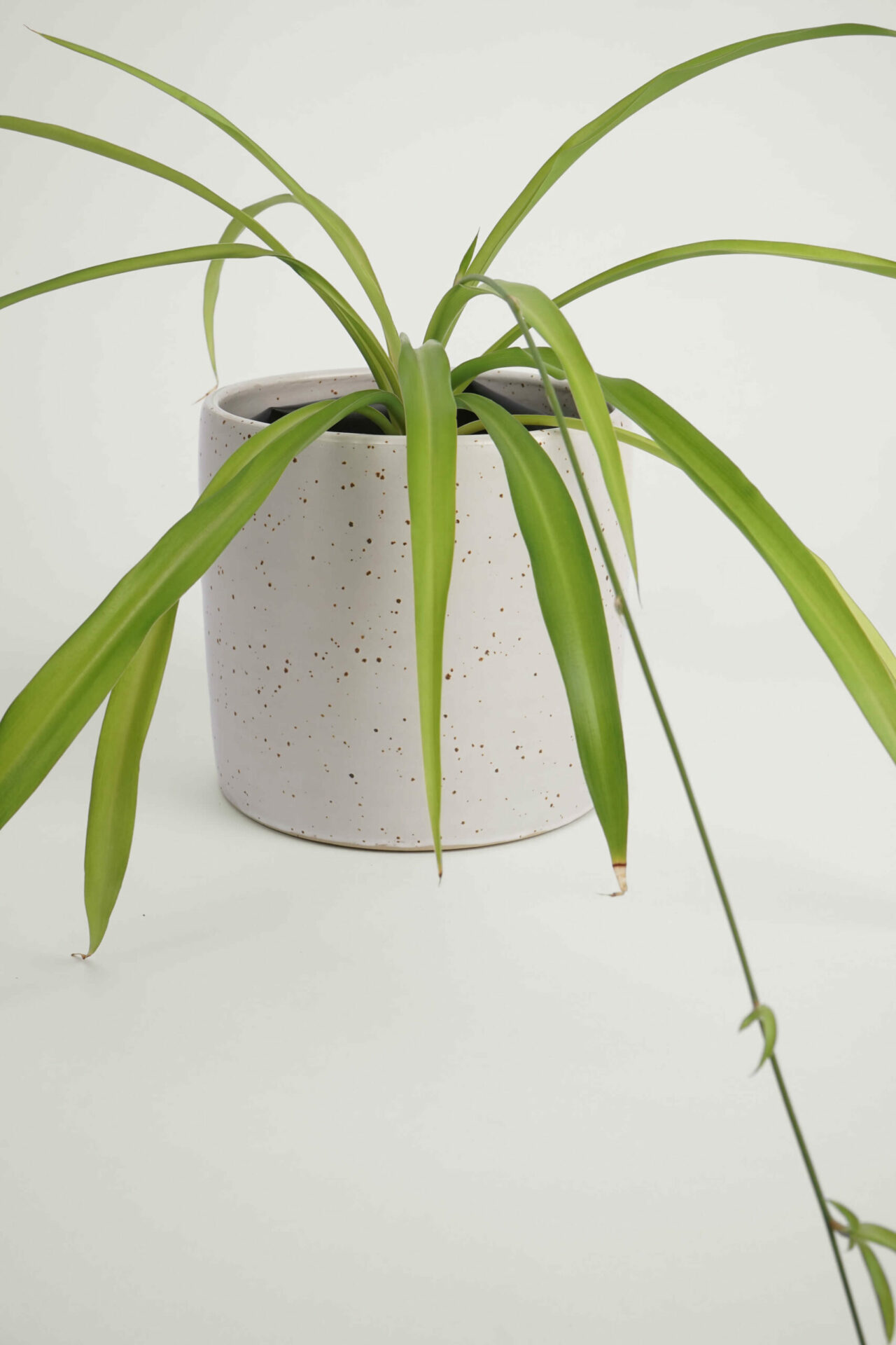 Stoneware Ceramic Cachepot 18 cm by REH (GERMANY)